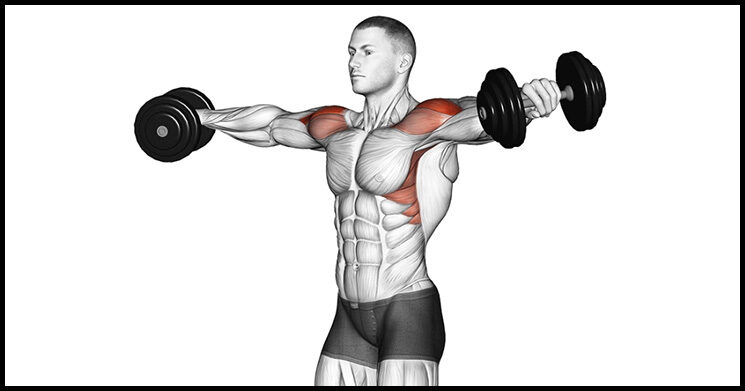 Seitheben mit Kurzhanteln – so funktioniert diese Übung richtig