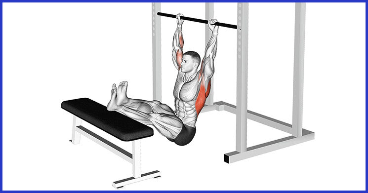 Rack Chins – die perfekte Klimmzug-Alternative?